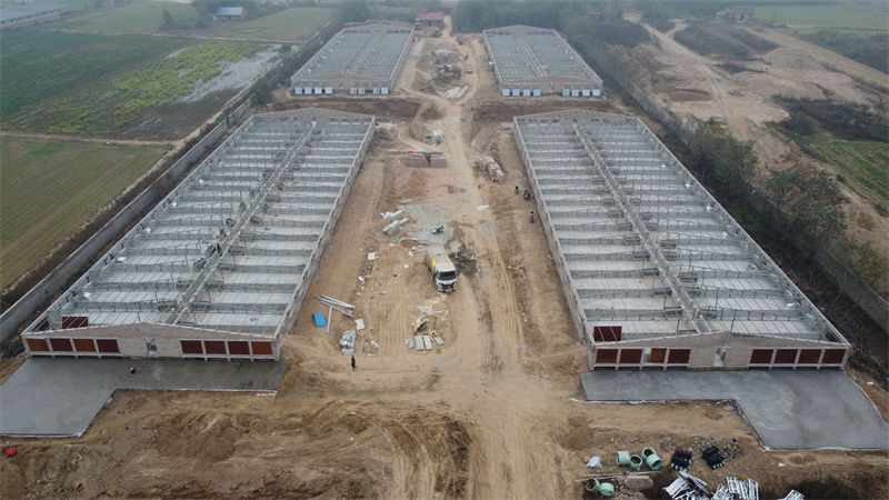 China Steel Structure Pig House For Pig Feeding Farm Manufacturer and ...